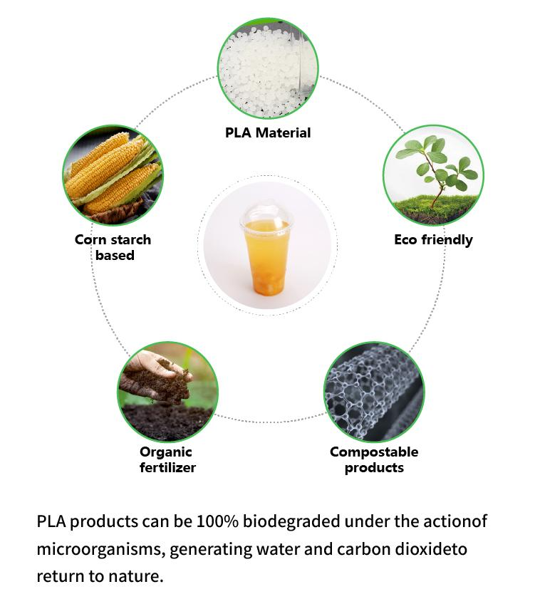 Unveiling Plastic Cup Production Giant: The Story Behind It and the ...